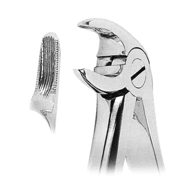 Extracting Forceps – Yan Surgical Industries