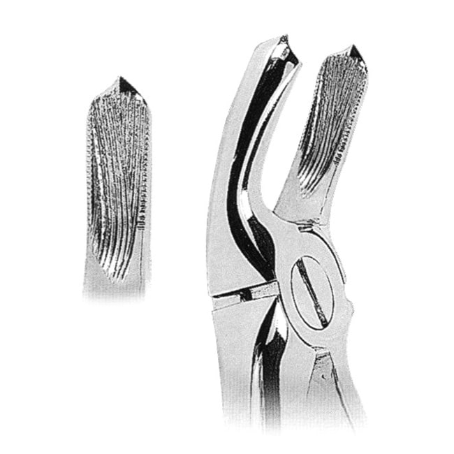 Extracting Forceps – Yan Surgical Industries