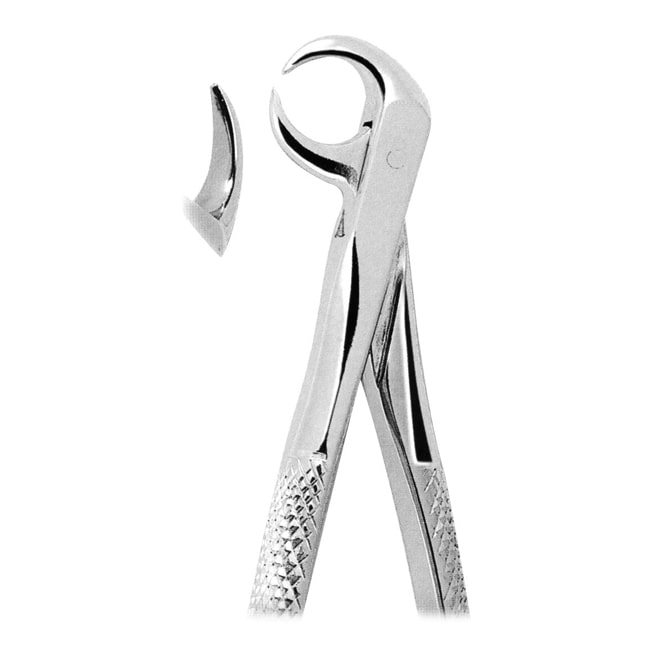 Extracting Forceps – Yan Surgical Industries