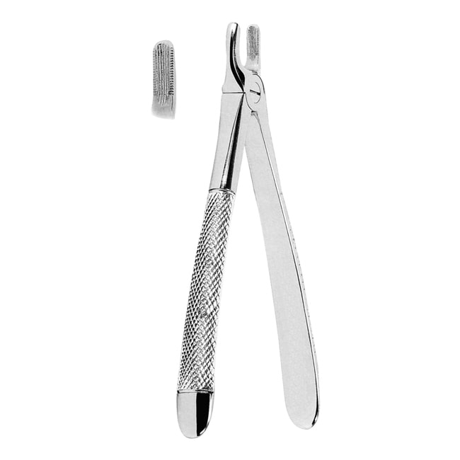 Extracting Forceps For Children – Yan Surgical Industries