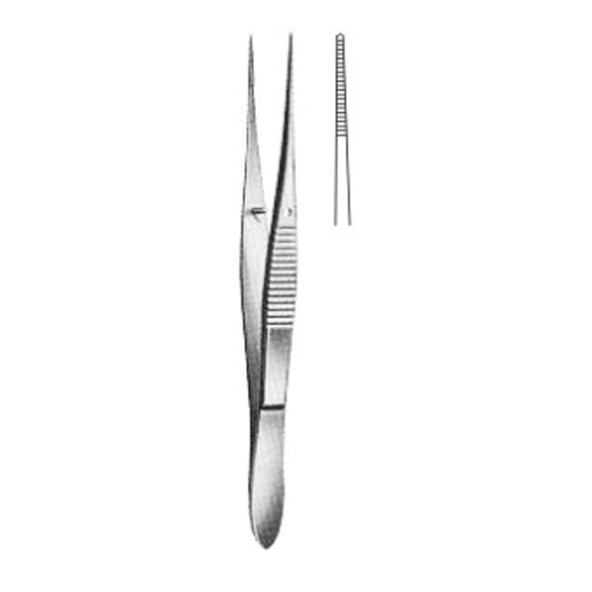 Delicate Disecting Forceps – Yan Surgical Industries