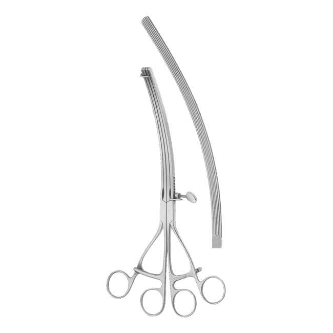 Intestinal Clamps – Yan Surgical Industries